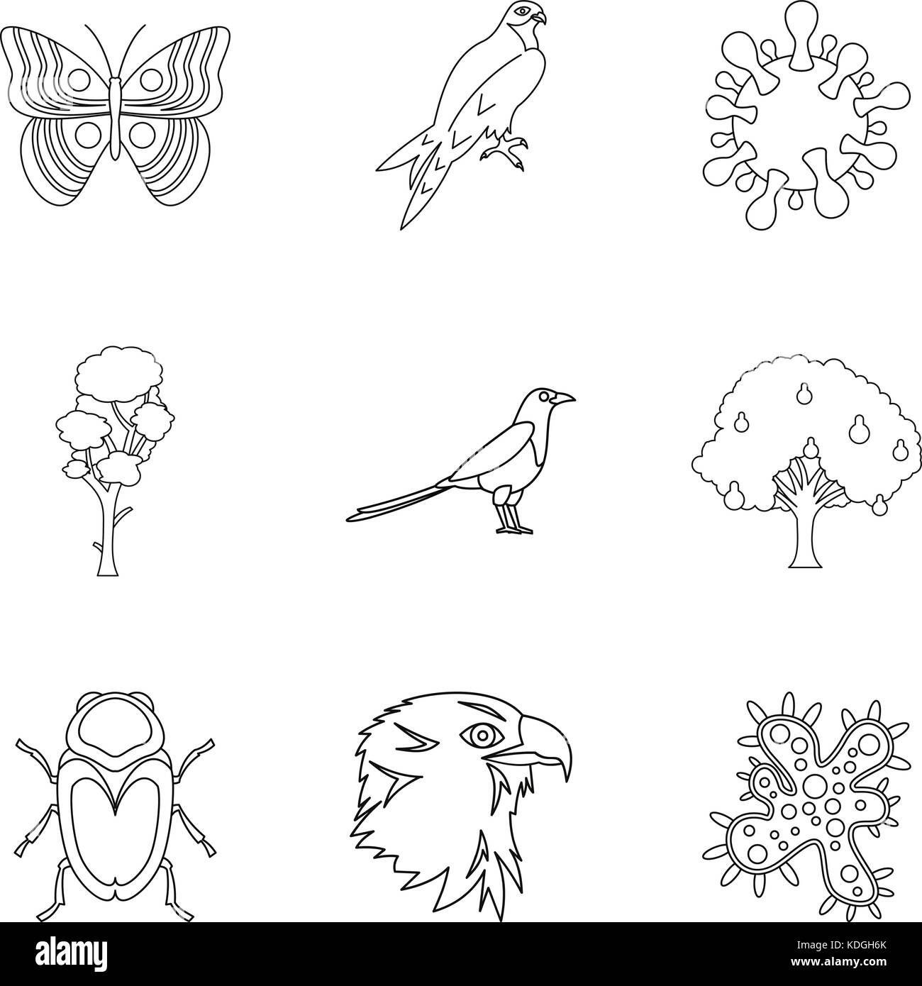 A sick plant Black and White Stock Photos & Images - Alamy