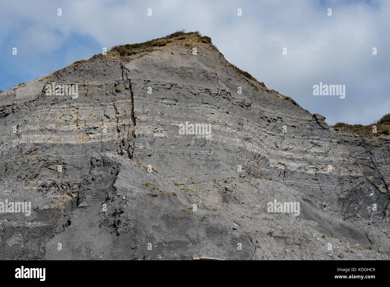 The fossil-enriched cliffs of Charmouth, Dorset, UK Stock Photo - Alamy
