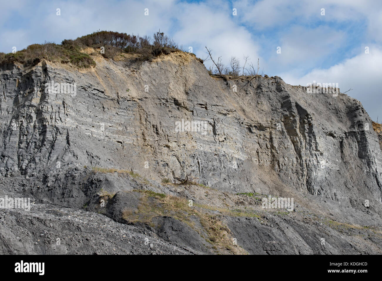 The fossil-enriched cliffs of Charmouth, Dorset, UK Stock Photo - Alamy