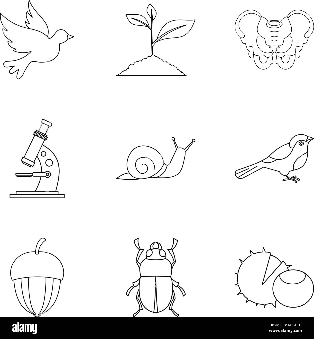 Flier icons set, outline style Stock Vector Image & Art - Alamy