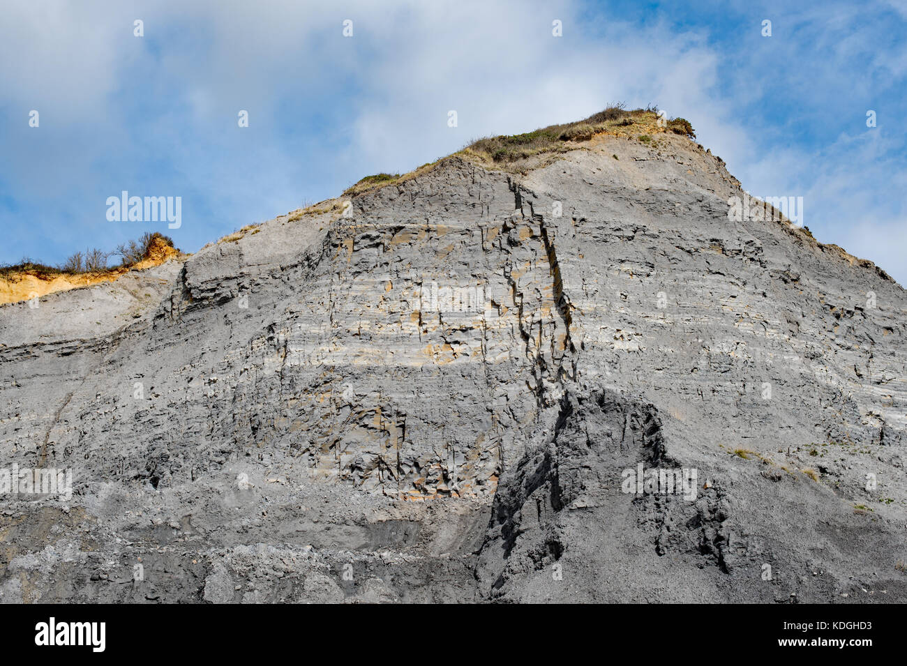 The fossil-enriched cliffs of Charmouth, Dorset, UK Stock Photo - Alamy