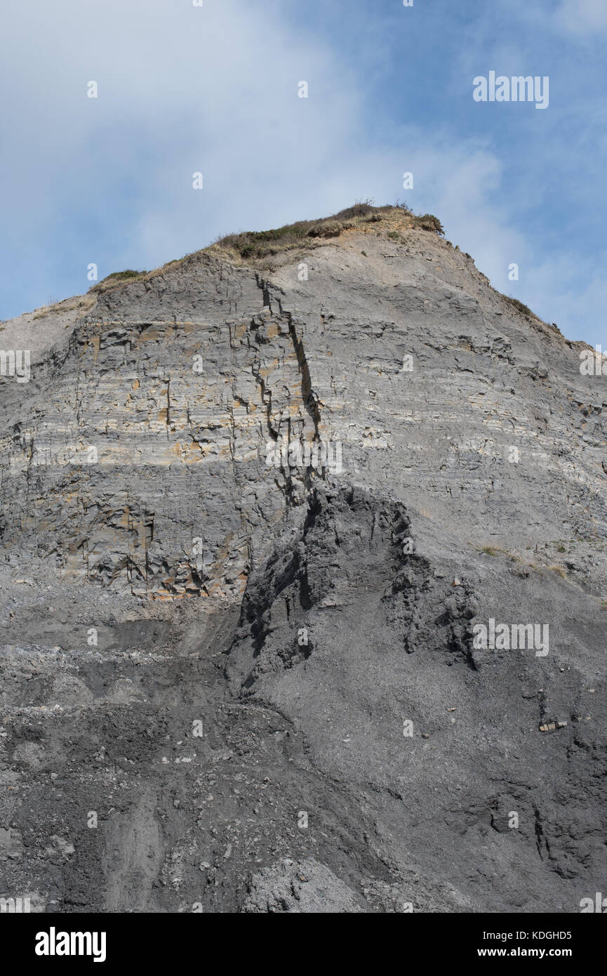 The fossil-enriched cliffs of Charmouth, Dorset, UK Stock Photo - Alamy