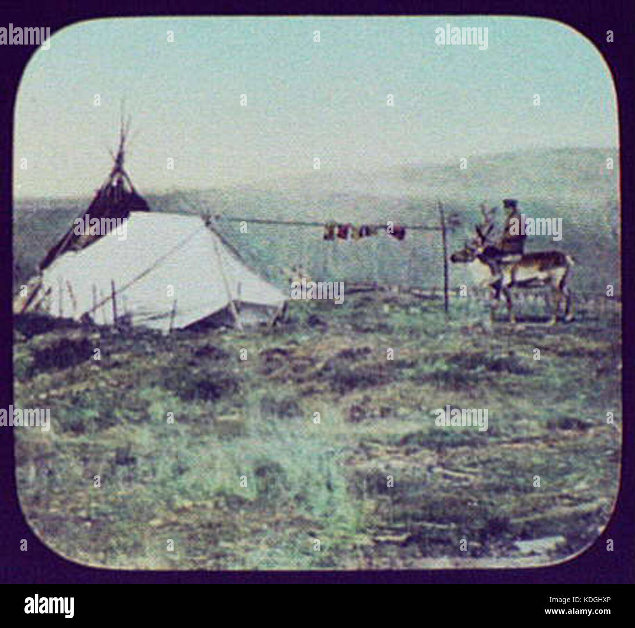 Soldier riding reindeer at survey camp of Eastern Siberian Railway ...