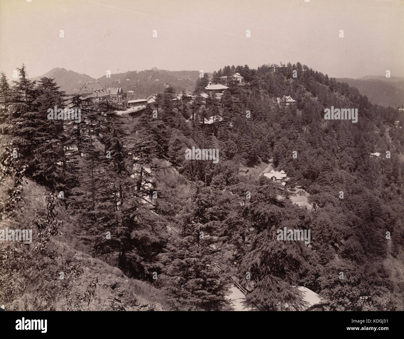 Simla life hi-res stock photography and images - Alamy