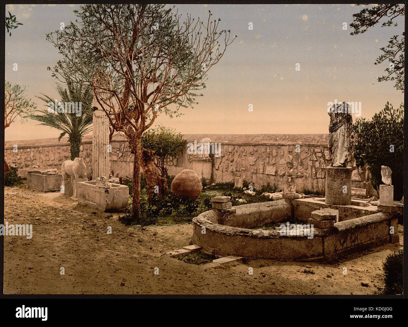 The Museum Garden in Carthage, Tunisia, presents an elegant landscape ...