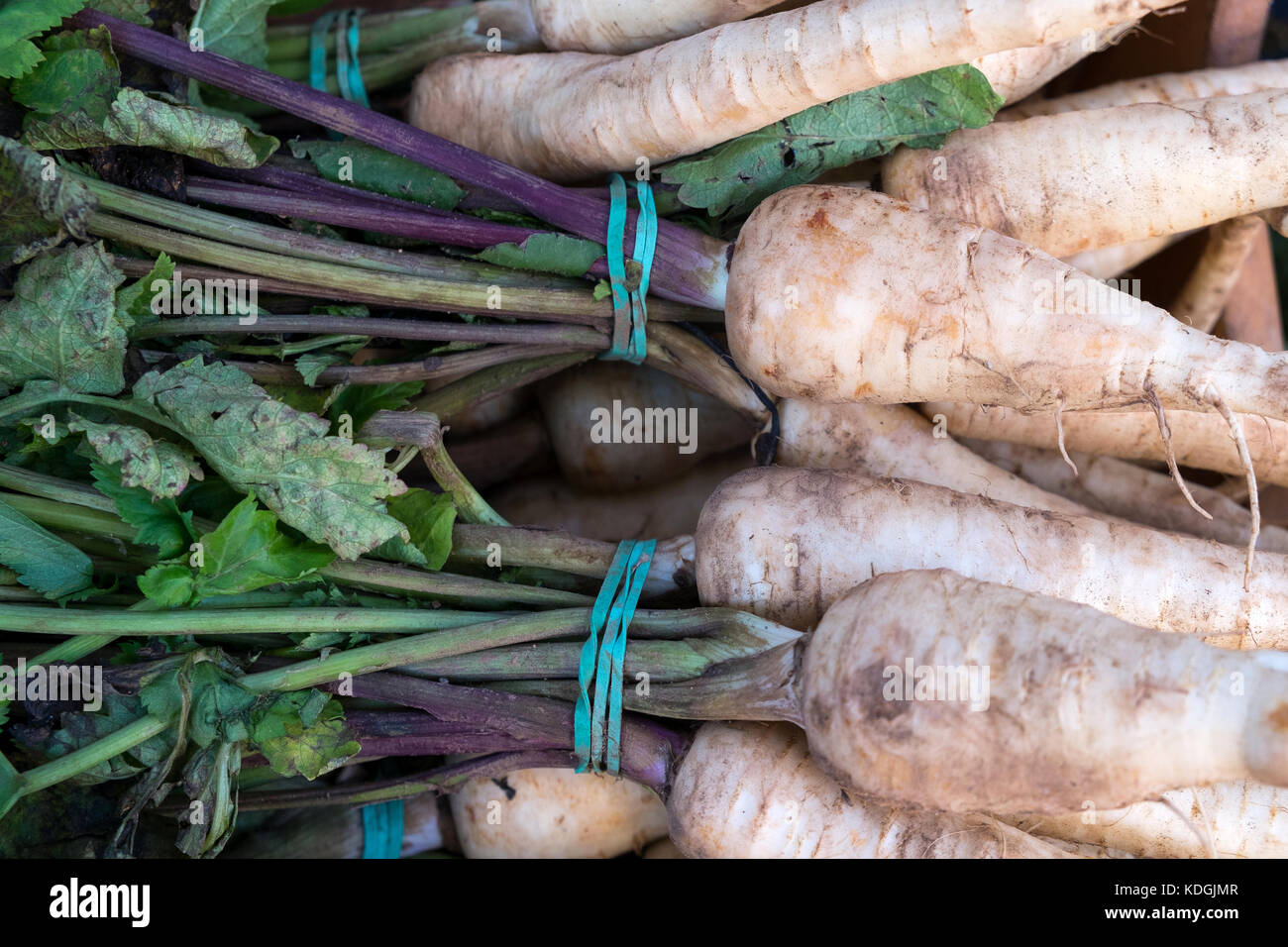 Fresh Turnip root vegetables in boxes at a farmers market after harvest ...