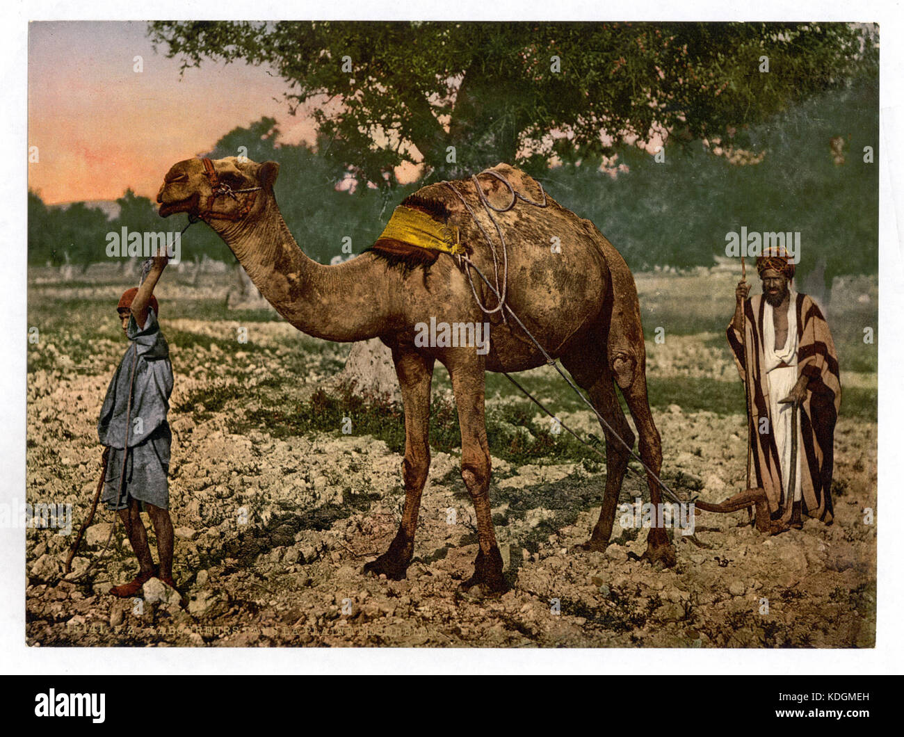 Jezreel plain israel hi-res stock photography and images - Alamy