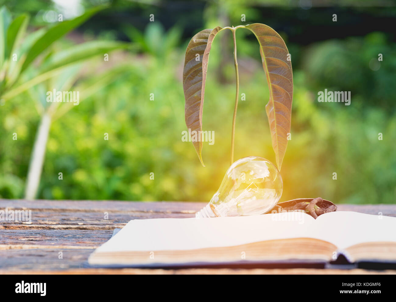 Light bulb over open book hi-res stock photography and images - Alamy