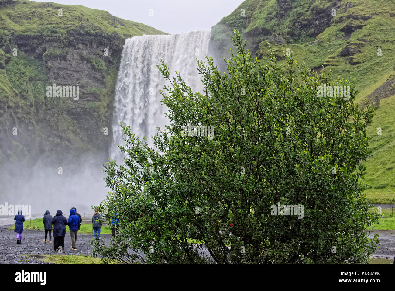 Seljalandsfoss waterfall plunging 60m from the cliff above, Sudhurland ...