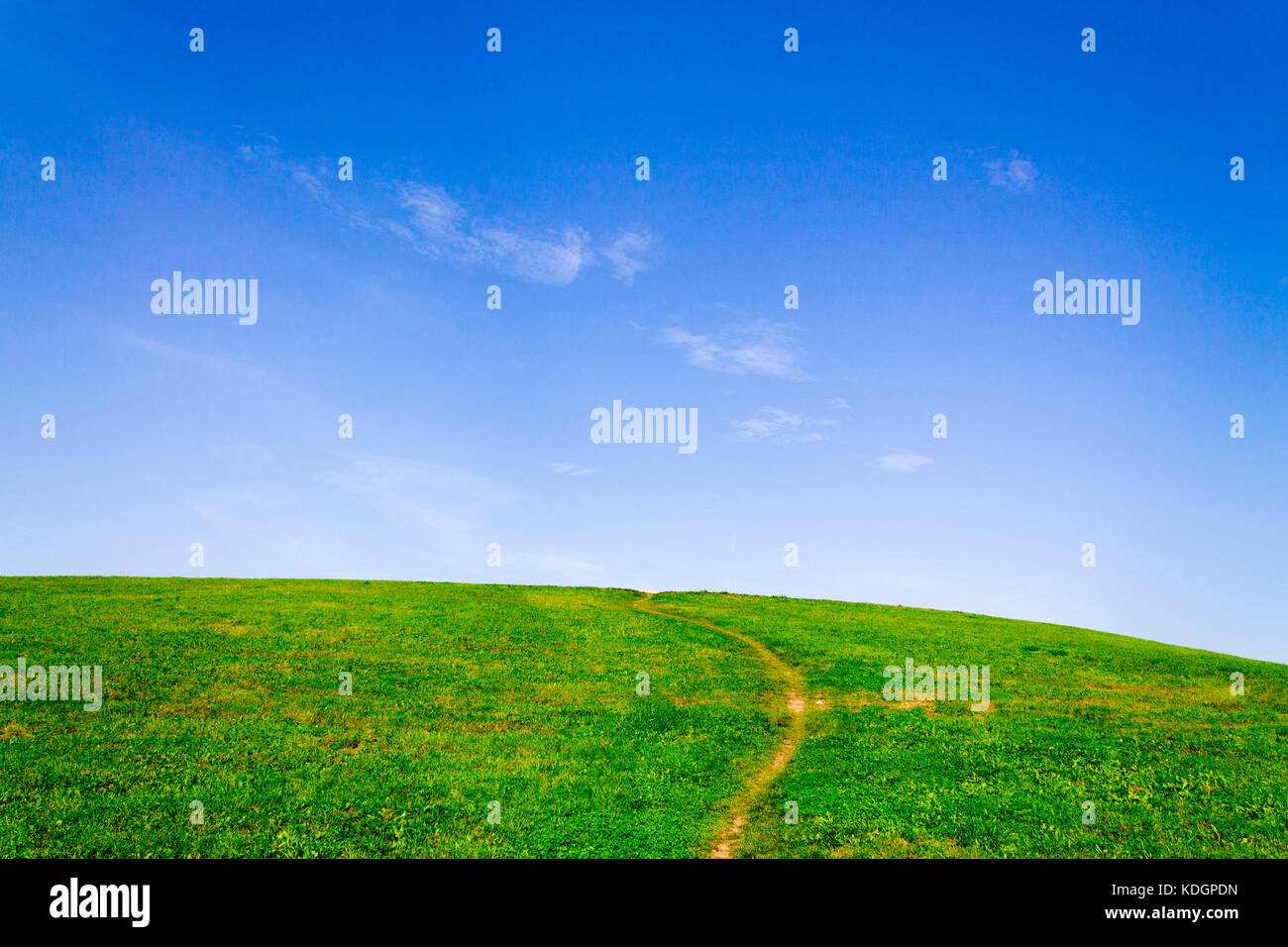 Green meadow and cloudless blue sky Stock Photo - Alamy