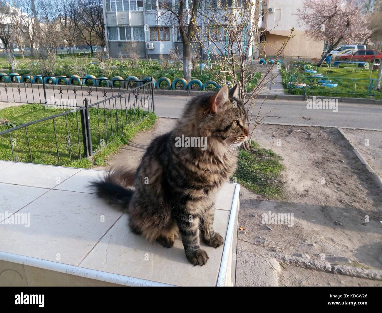 Parapet tiles hi-res stock photography and images - Alamy