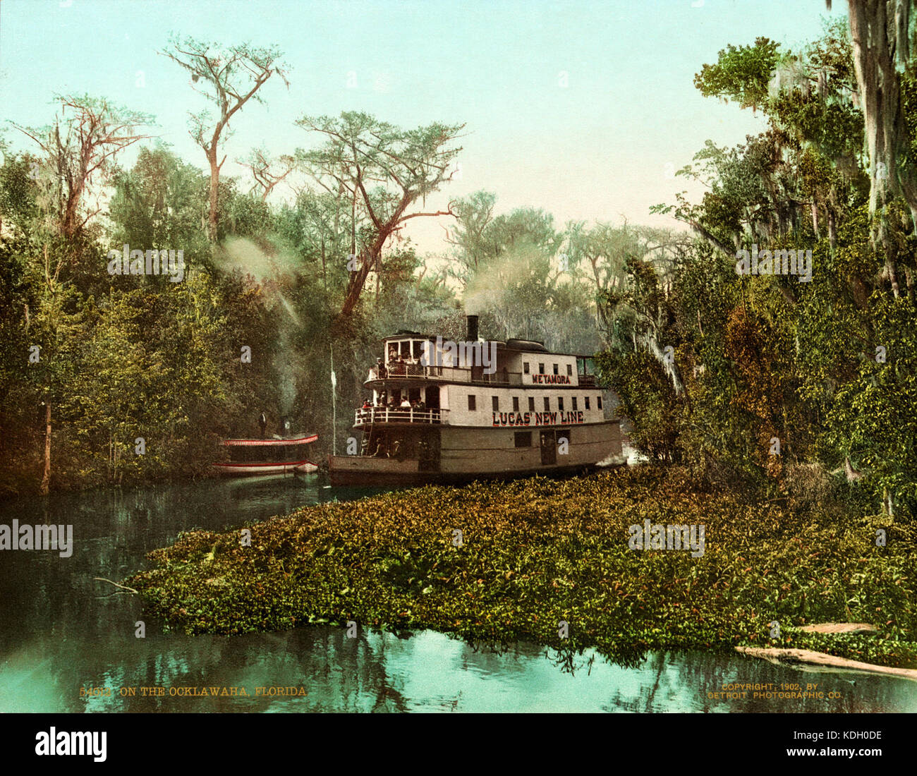 On the Ocklawaha, Florida, 1902 Stock Photo - Alamy