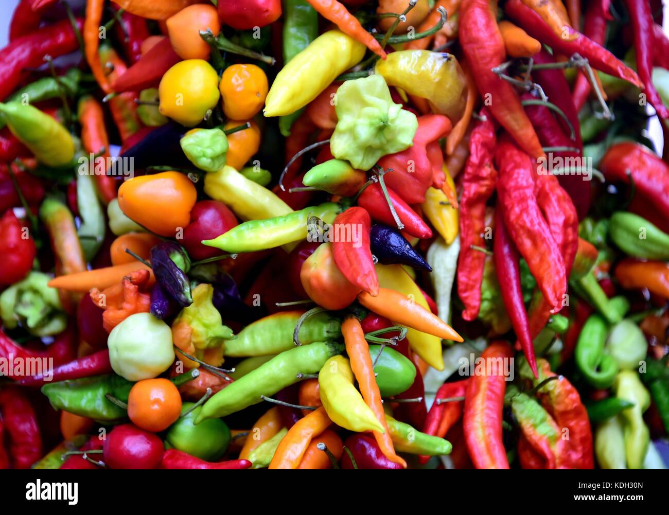 Typical chains of chili and paprika in a store in the city center of ...