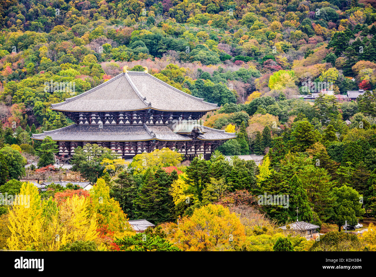 Todaiji temple kyoto hi-res stock photography and images - Alamy