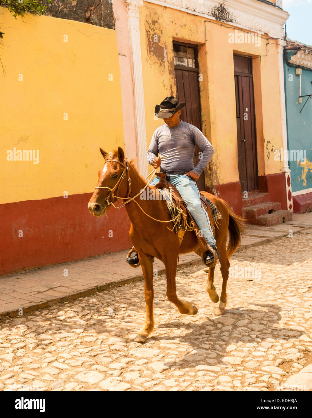 Cuban cowboy rides horse past th brigtly coloured l houses on the ...