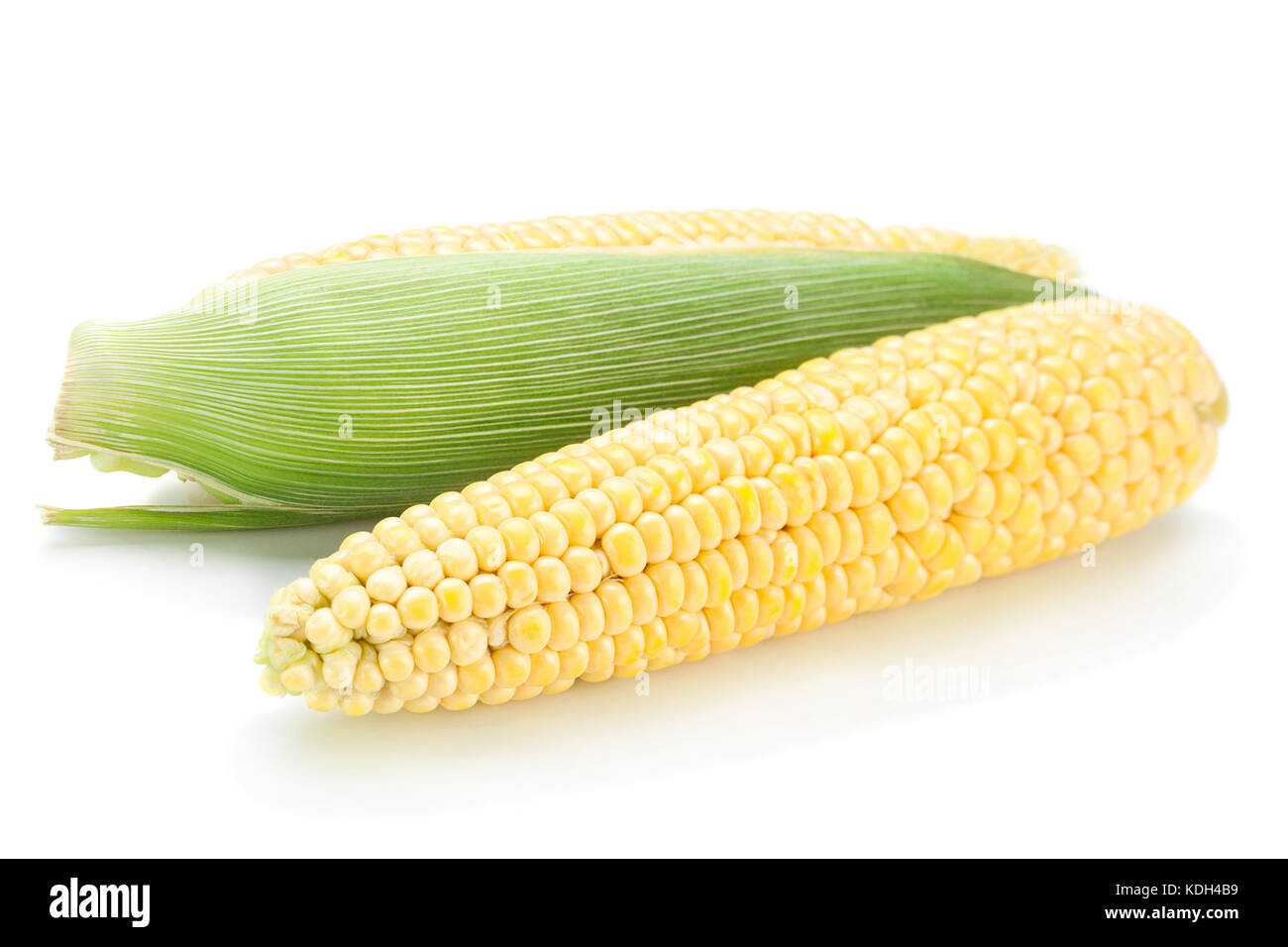 Raw sweet corn isolated on white background Stock Photo - Alamy