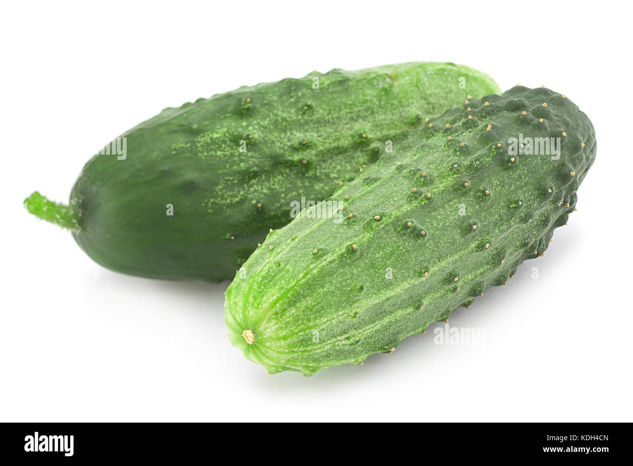 Cucumber vegetable closeup isolated on white background Stock Photo - Alamy