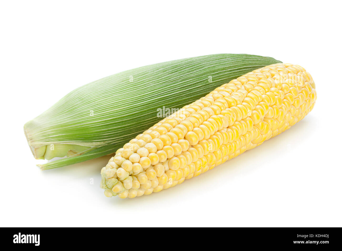 Raw sweet corn isolated on white background Stock Photo - Alamy