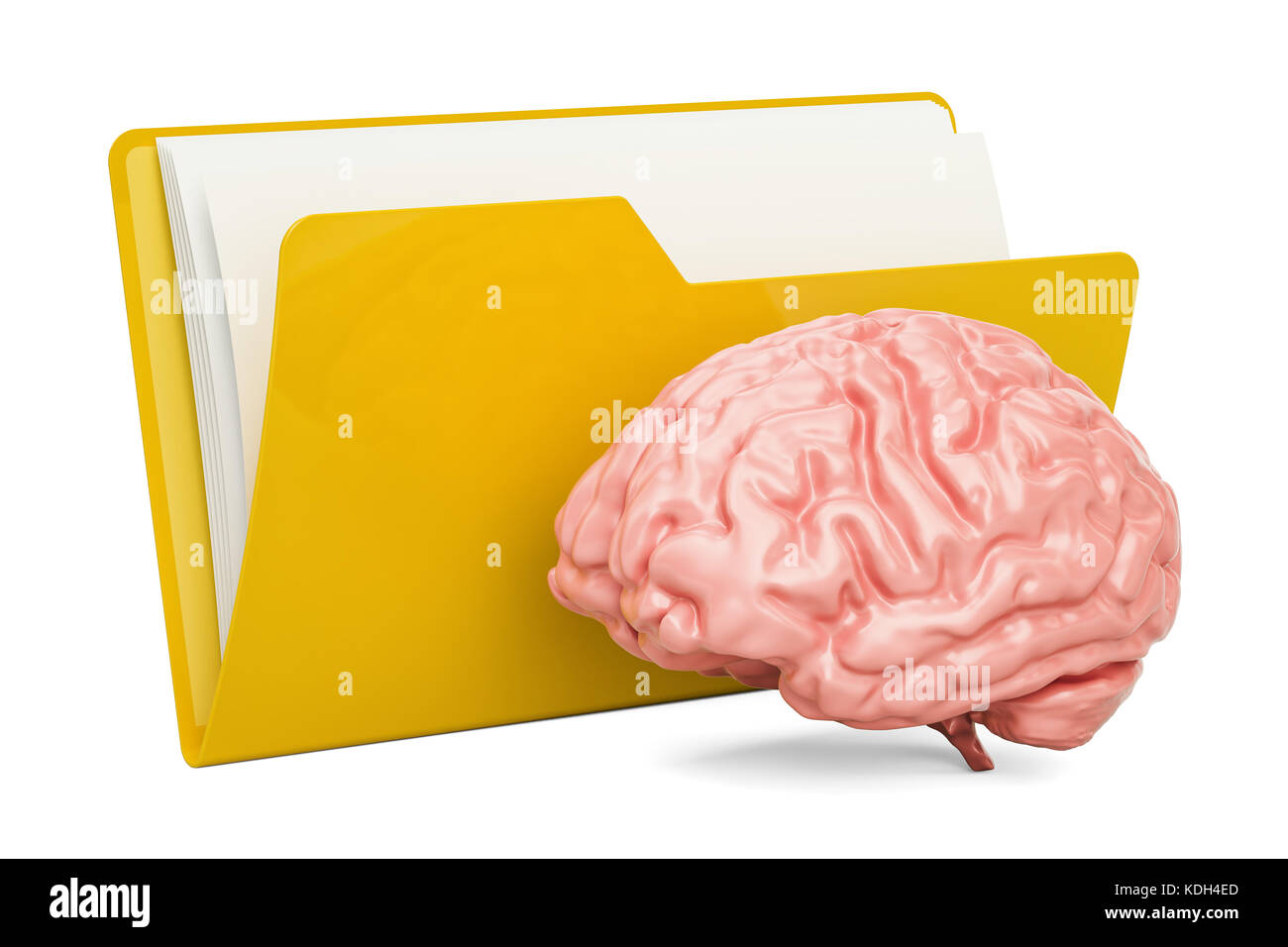 Folder computer icon with human brain, 3D rendering isolated on white background Stock Photo - Alamy