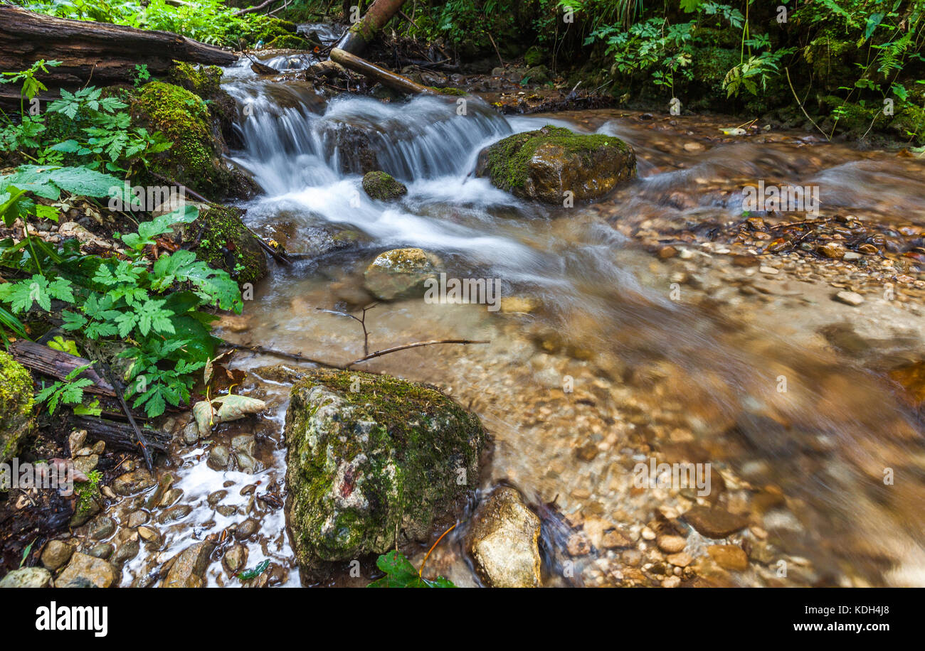 Mountain creek flowing over rocks/river running through forest Stock ...