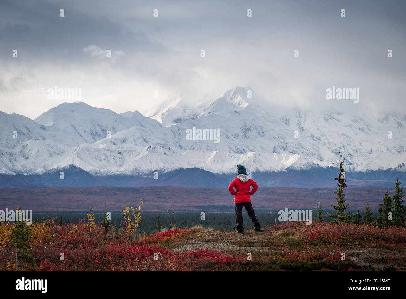 Hiker at mountain top facing Mount. Denali Stock Photo - Alamy