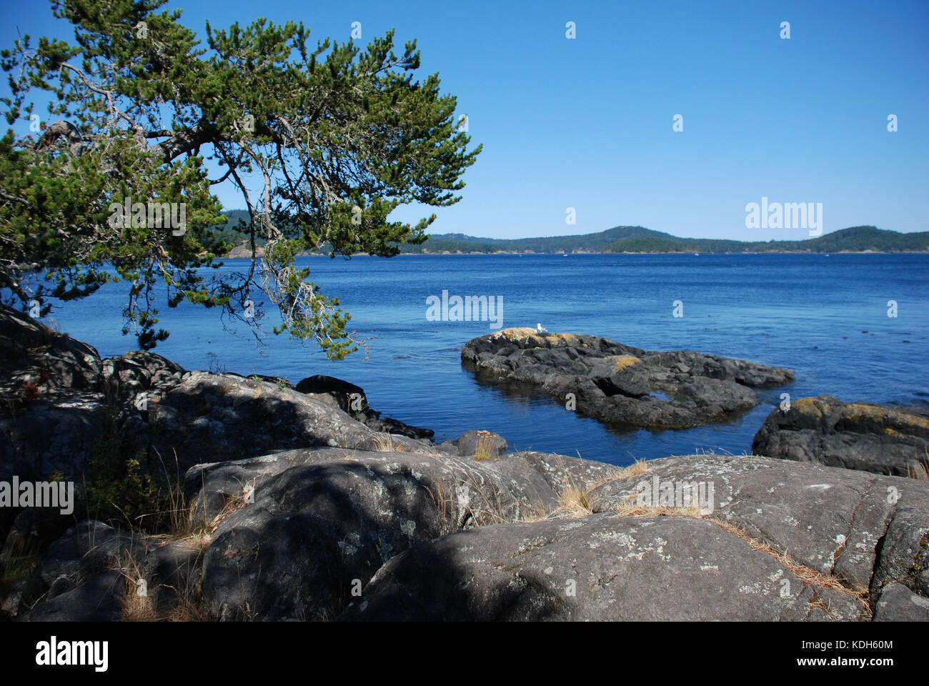 East Sooke Park, near Victoria, BC, Canada is the perfect place for a ...