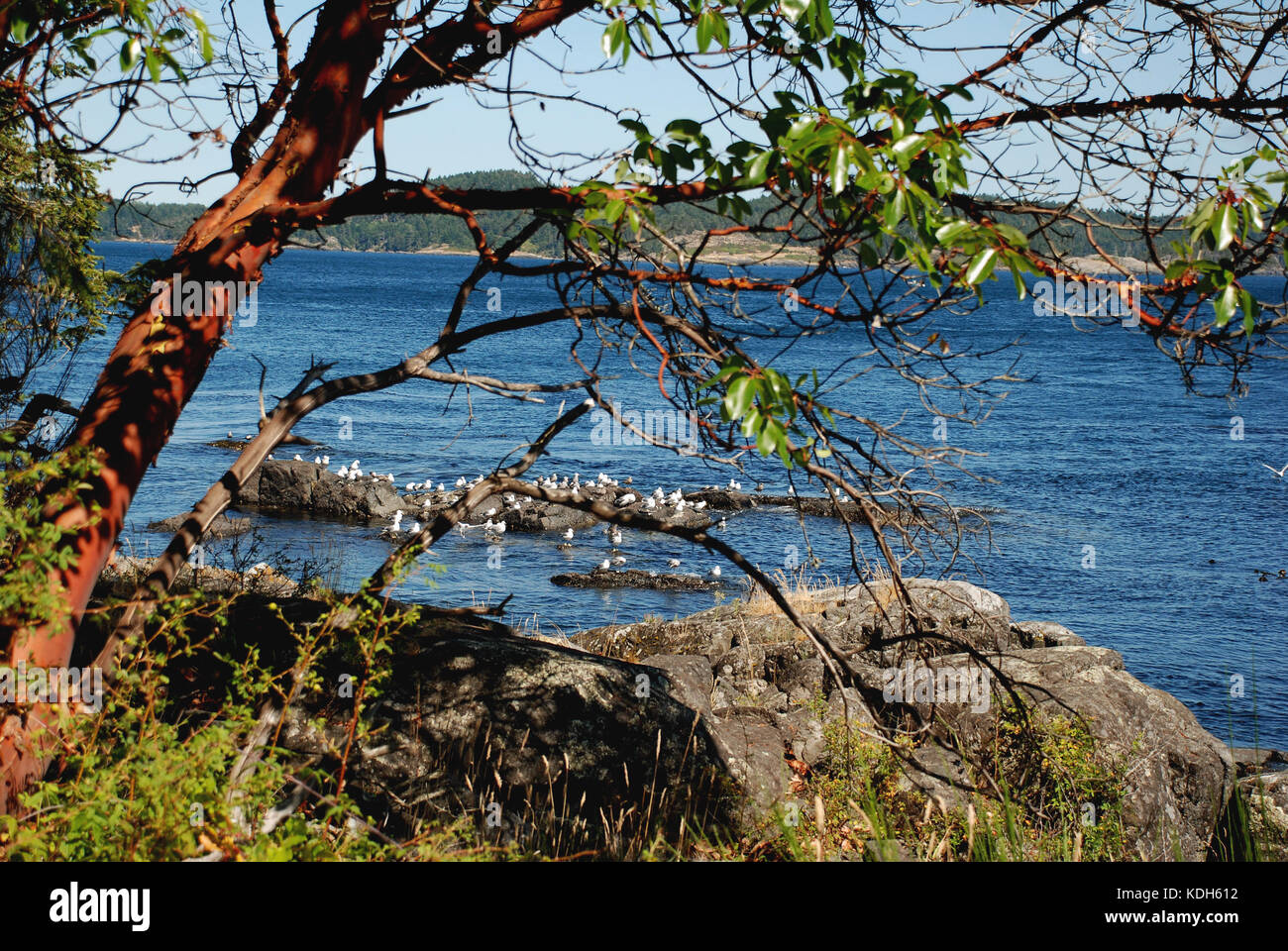 East Sooke Park, near Victoria, BC, Canada is the perfect place for a ...