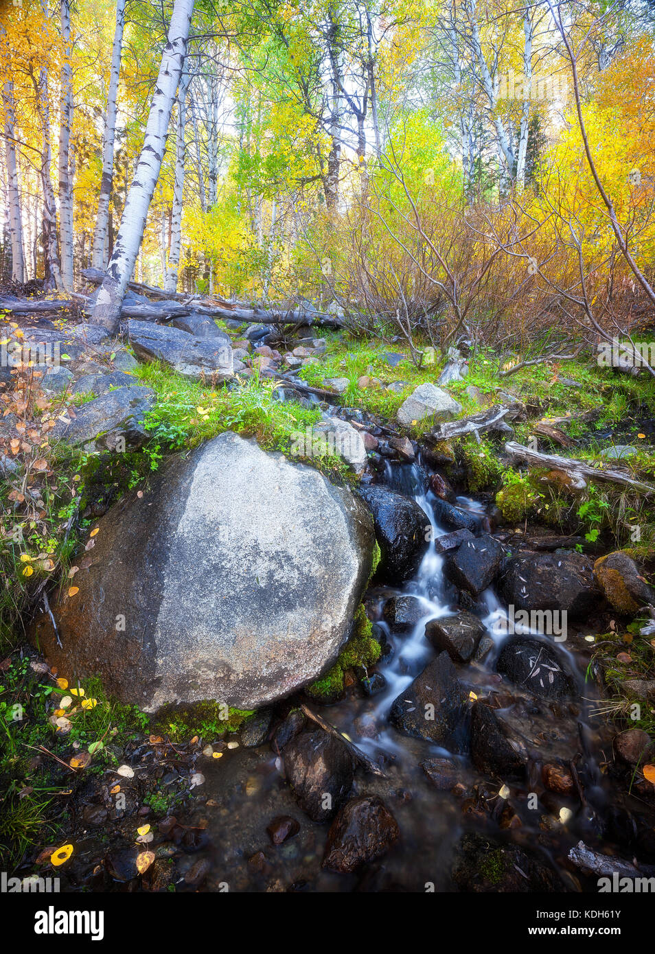 Tahoe national hi-res stock photography and images - Alamy