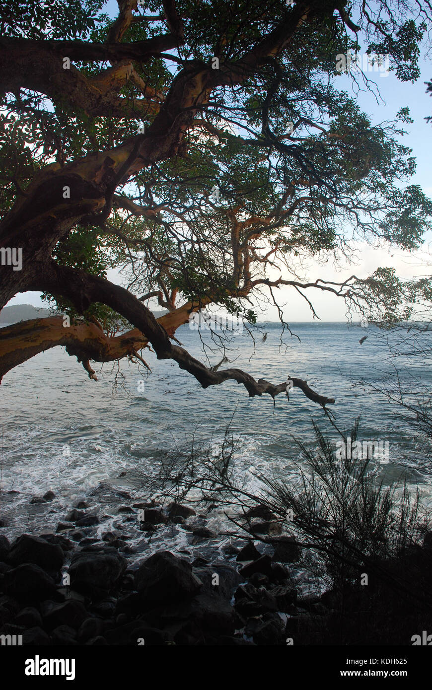 East Sooke Park, near Victoria, BC, Canada is the perfect place for a ...