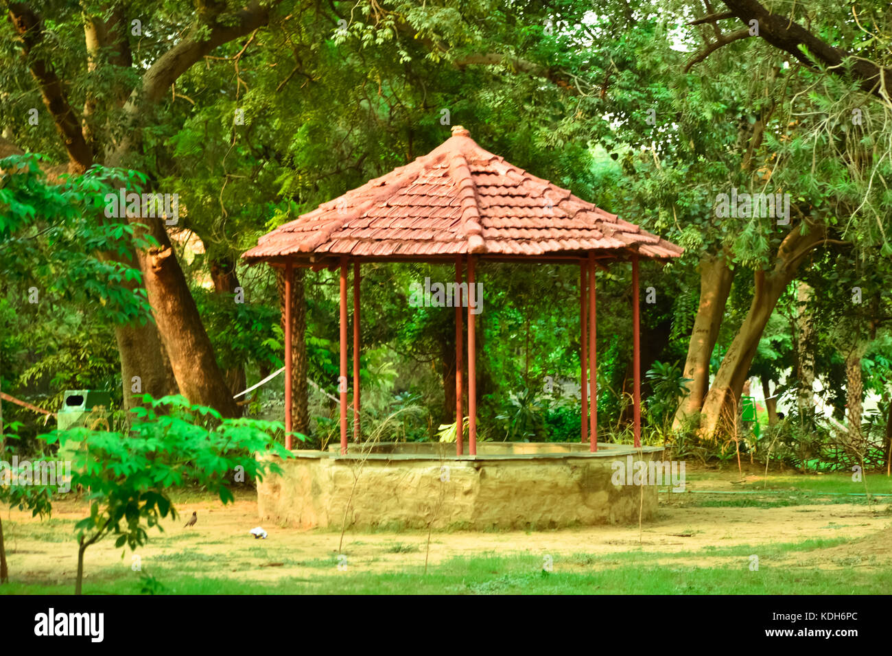 hub in forest Stock Photo - Alamy