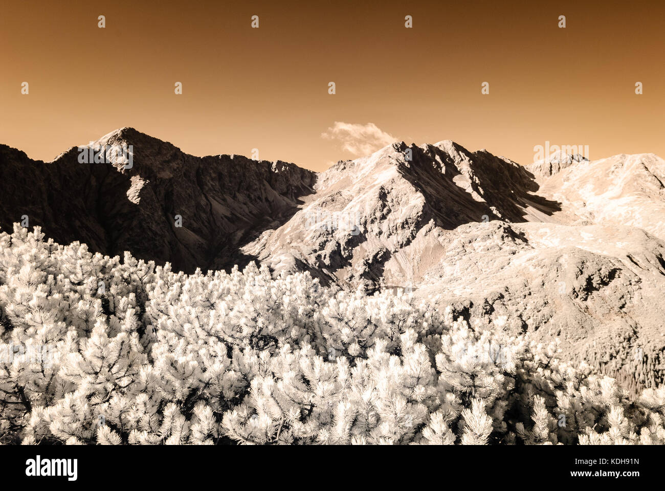 mountain panorama view from Volovec peak in Slovakia in bright sun ...