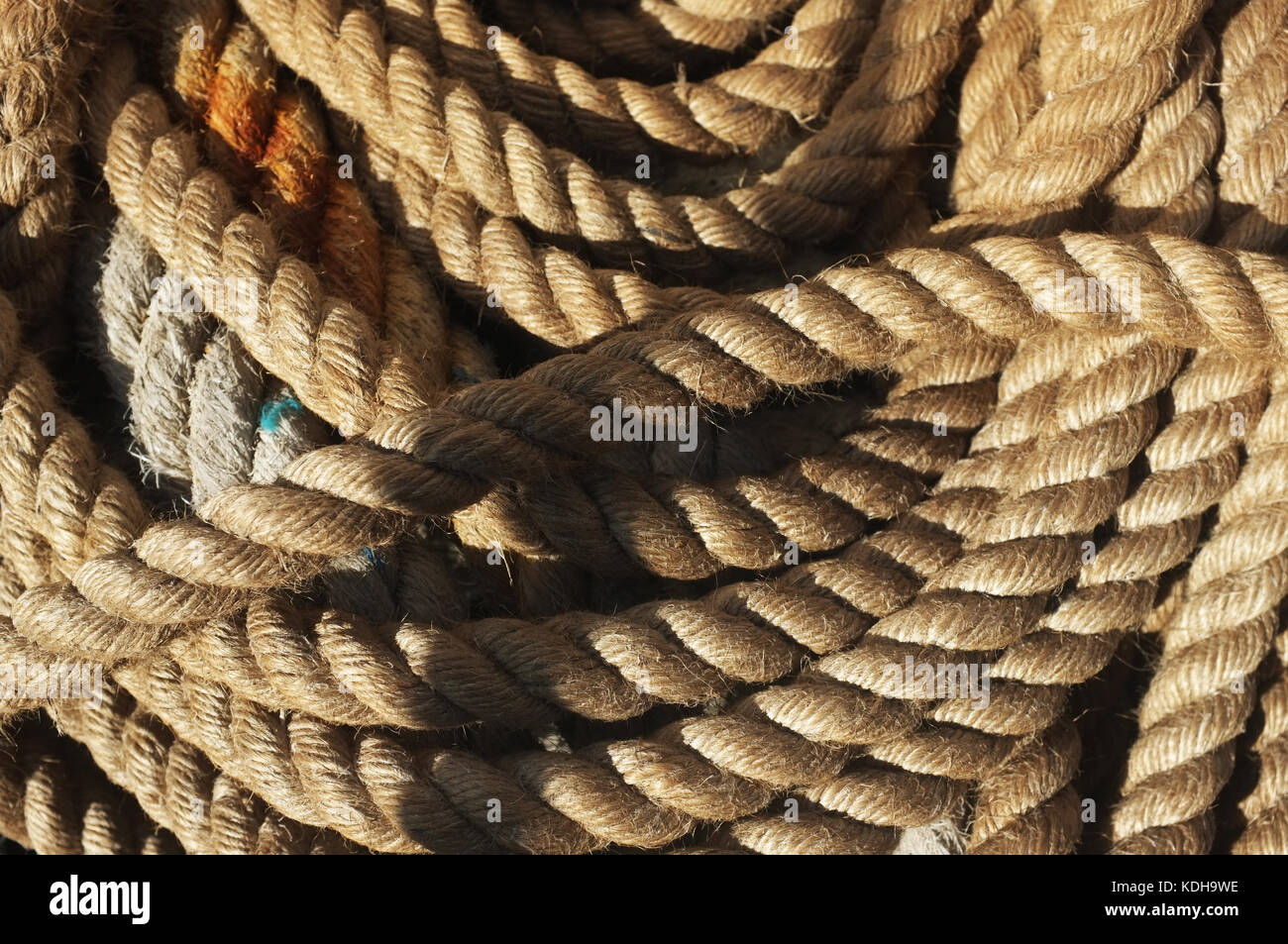 Nautical golden rope with light and shadow effect Stock Photo - Alamy
