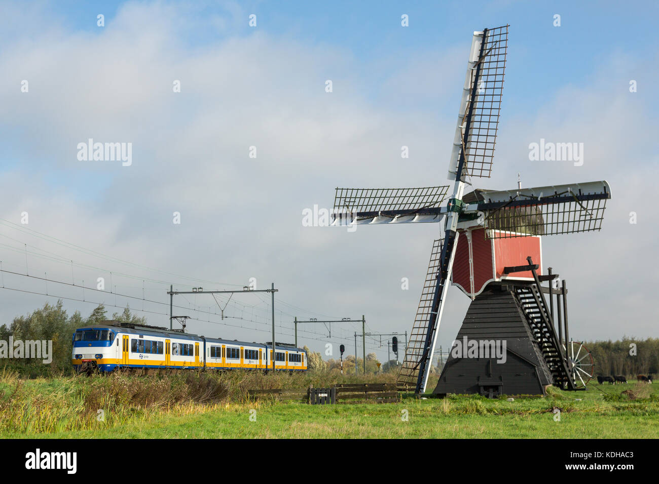 Dutch passengertrain passing a windmill, typical dutch landscape Stock ...