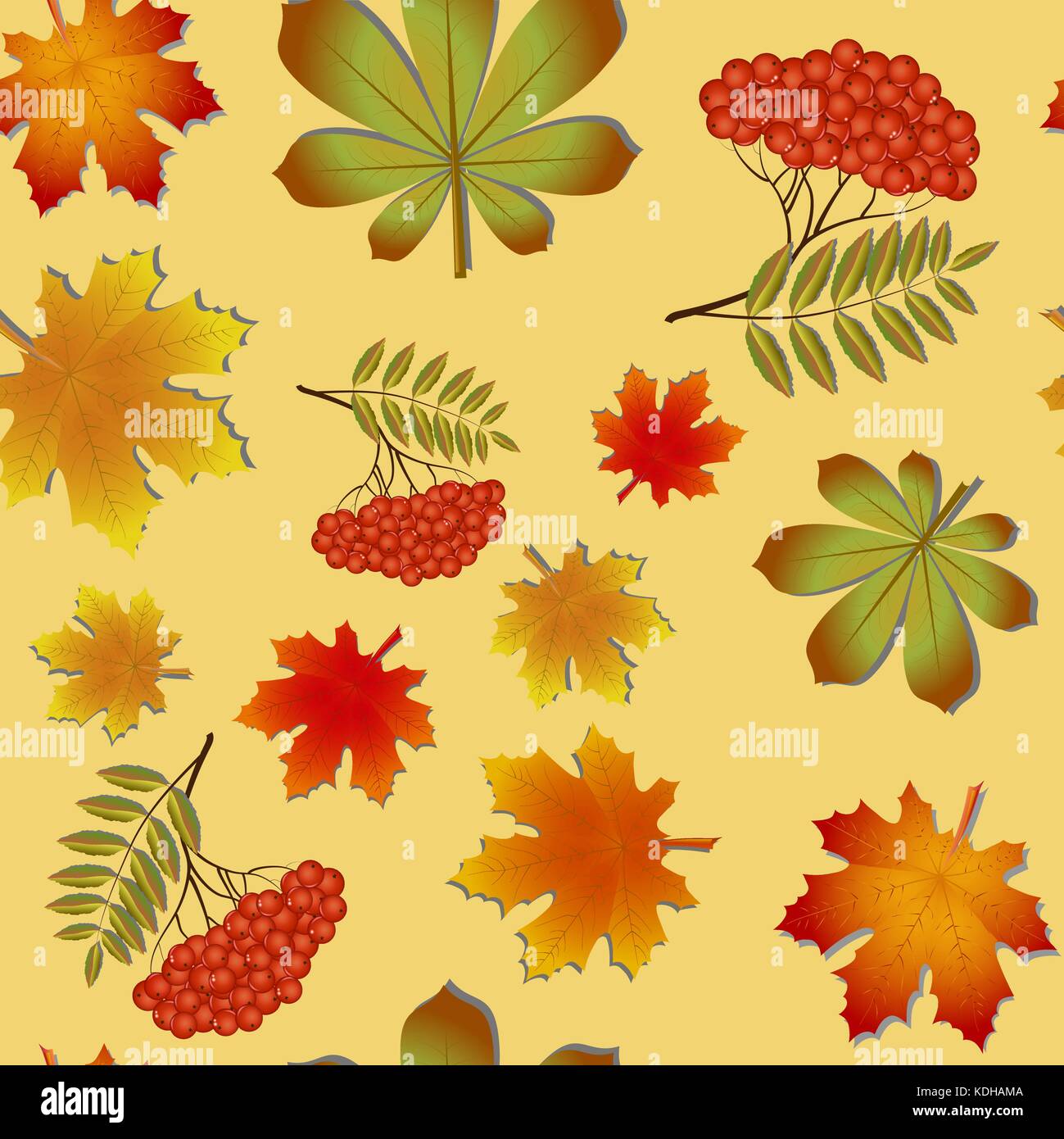 Bright red yellow autumn leaves Stock Vector Images - Alamy