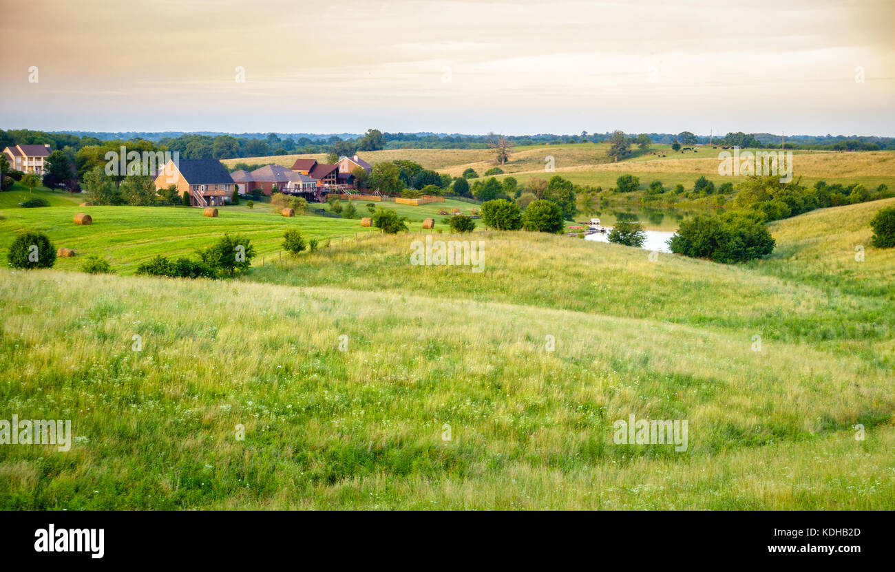 Kentucky bluegrass lawn hi-res stock photography and images - Alamy