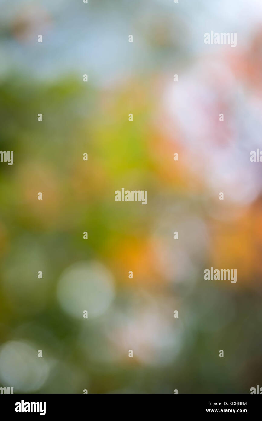 blurred nature background warm fall colors Stock Photo - Alamy