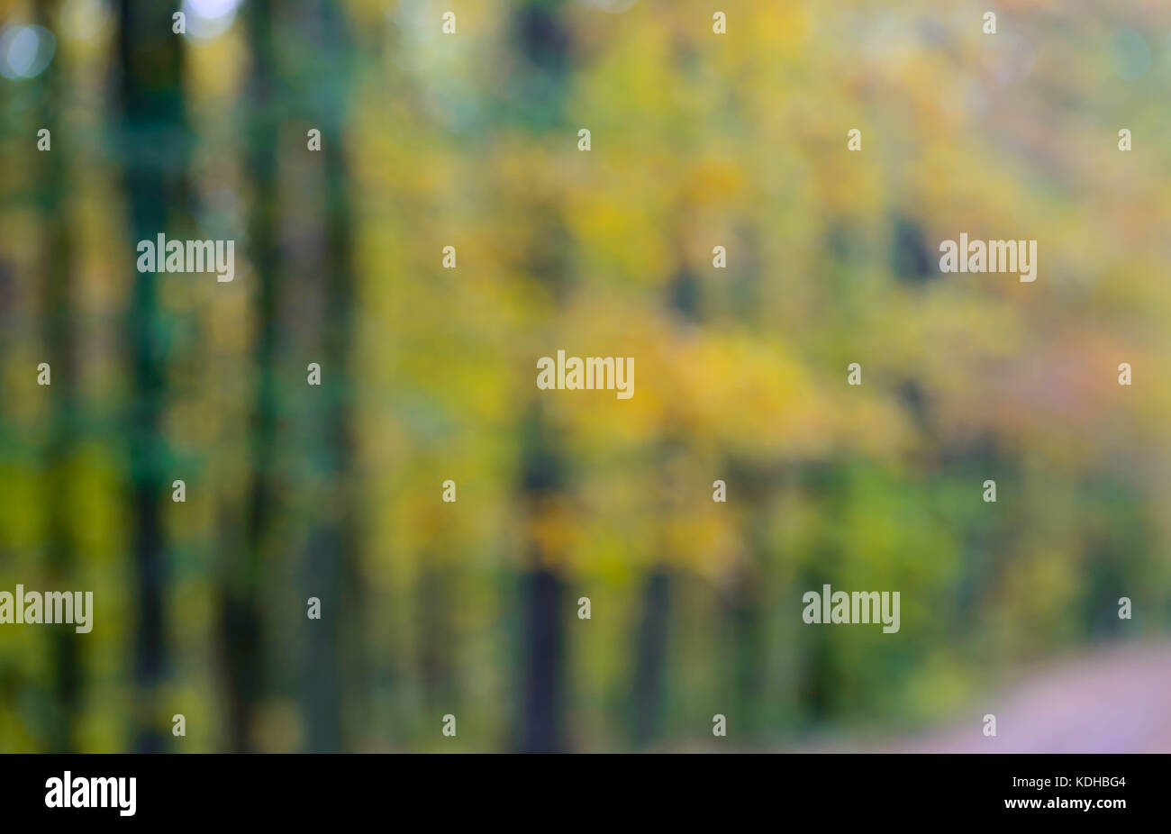 Blurred woodland background hi-res stock photography and images - Alamy