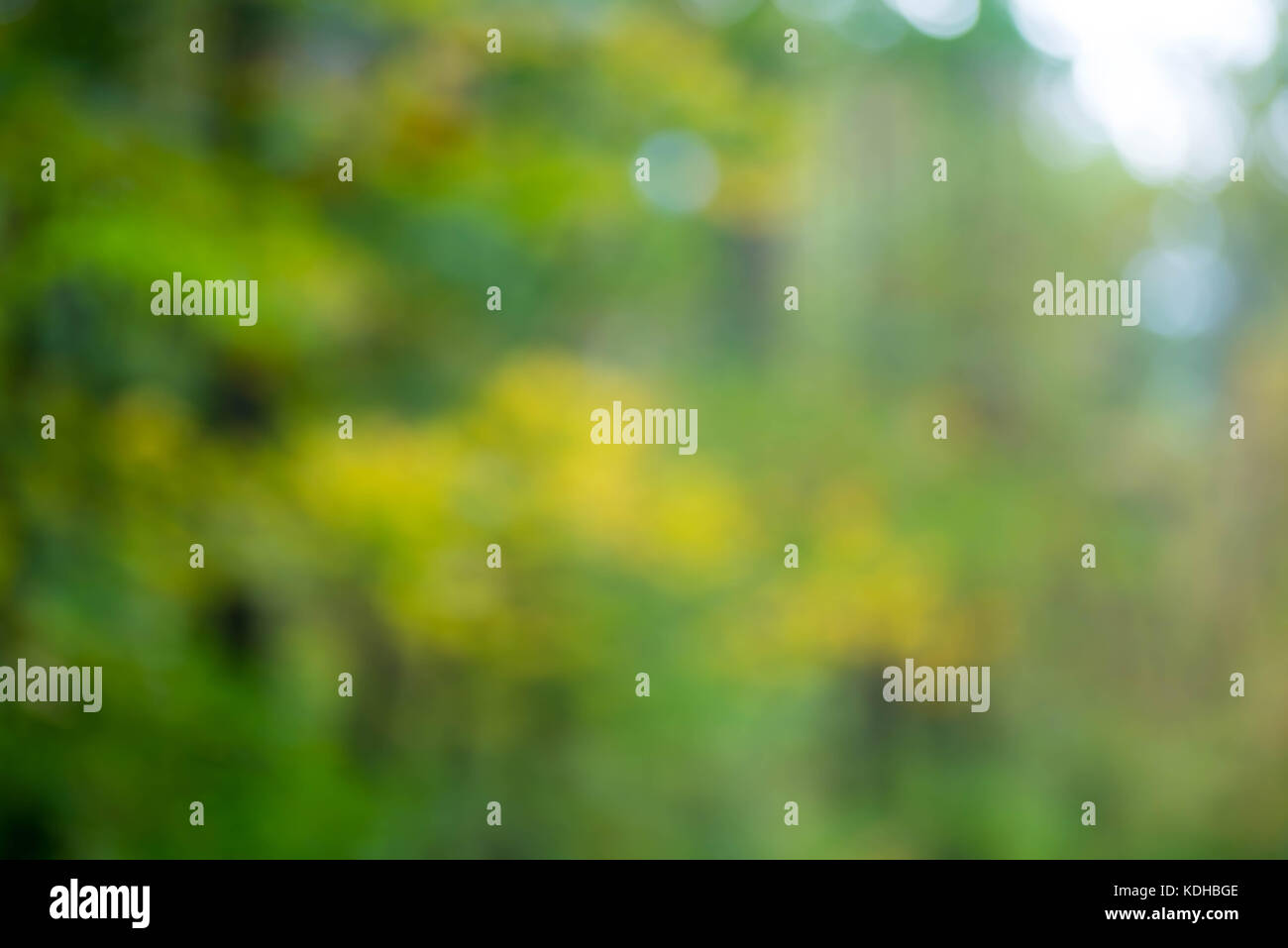 fall forest blurred background warm colors Stock Photo - Alamy