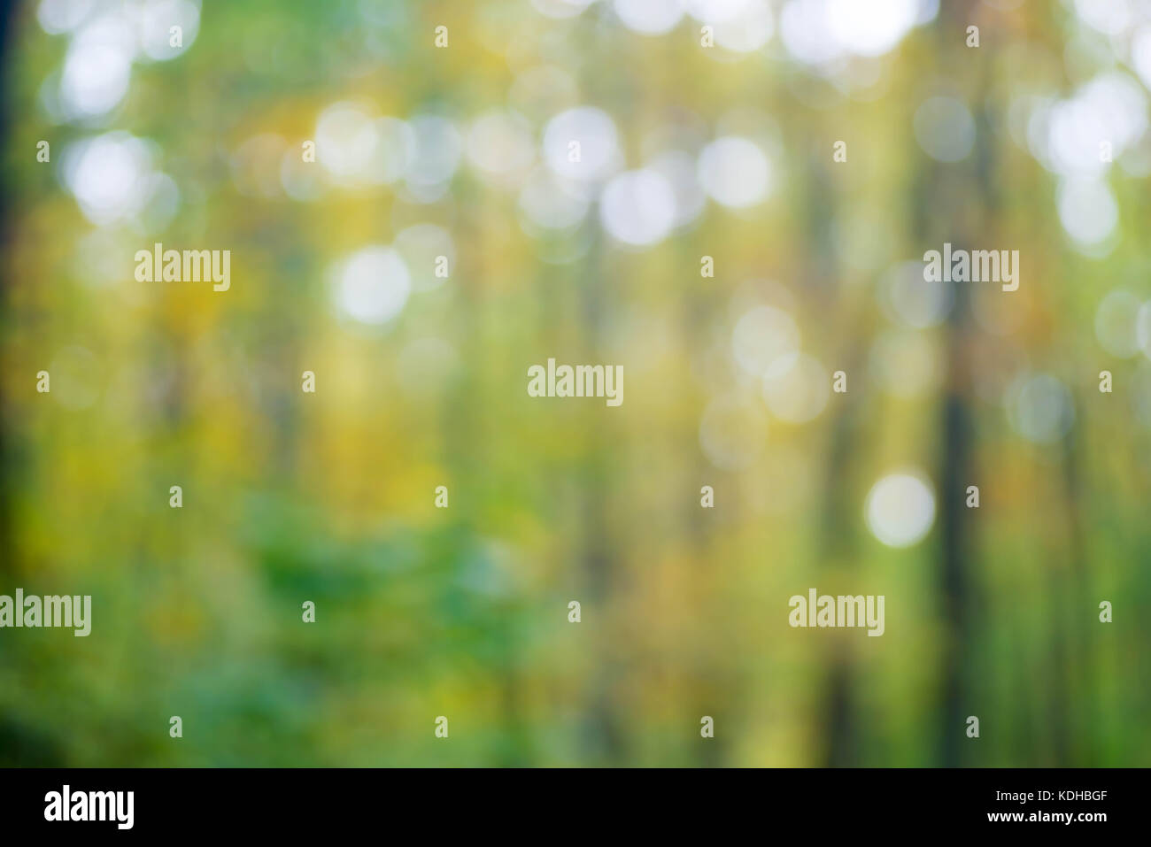 fall forest blurred background warm colors Stock Photo - Alamy