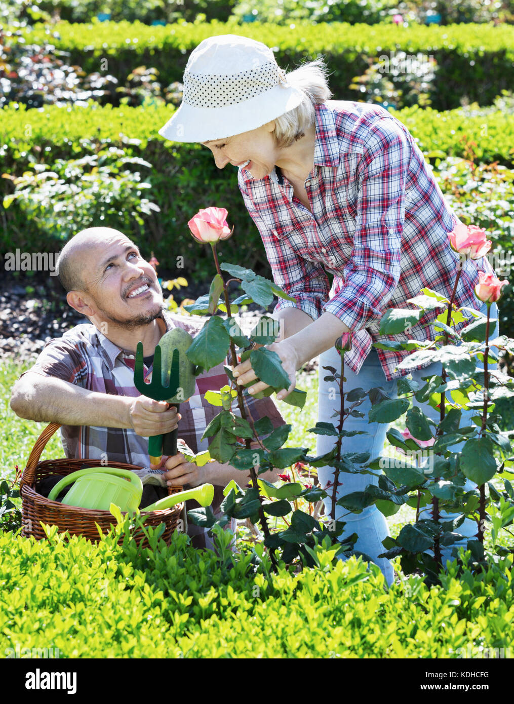 Smiling positive senior couple looking after flowers in the garden ...