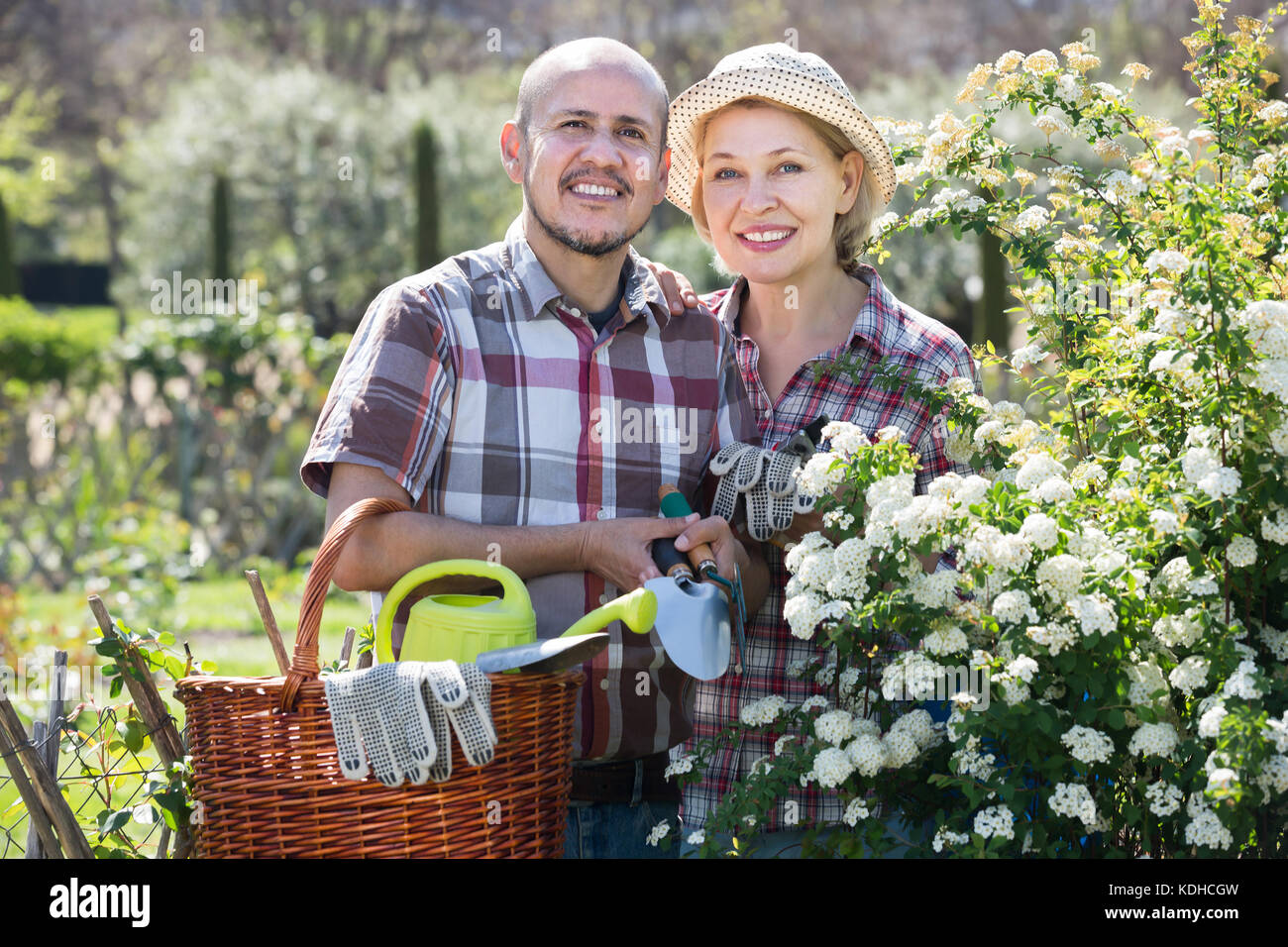 Adult couple engaged in gardening in the backyard garden Stock Photo ...