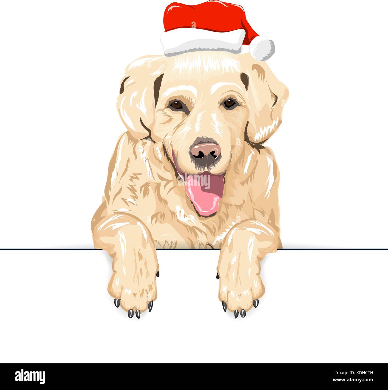 Yellow labrador with Santa Claus hat hand drawn vector, on white ...