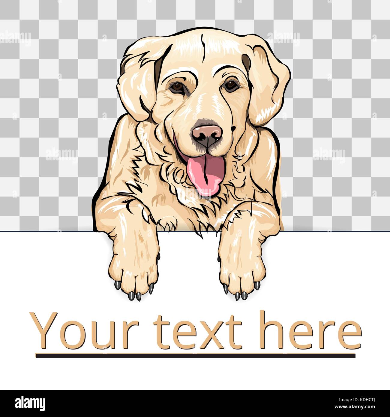 Yellow labrador with Santa Claus hat hand drawn vector used on a ...