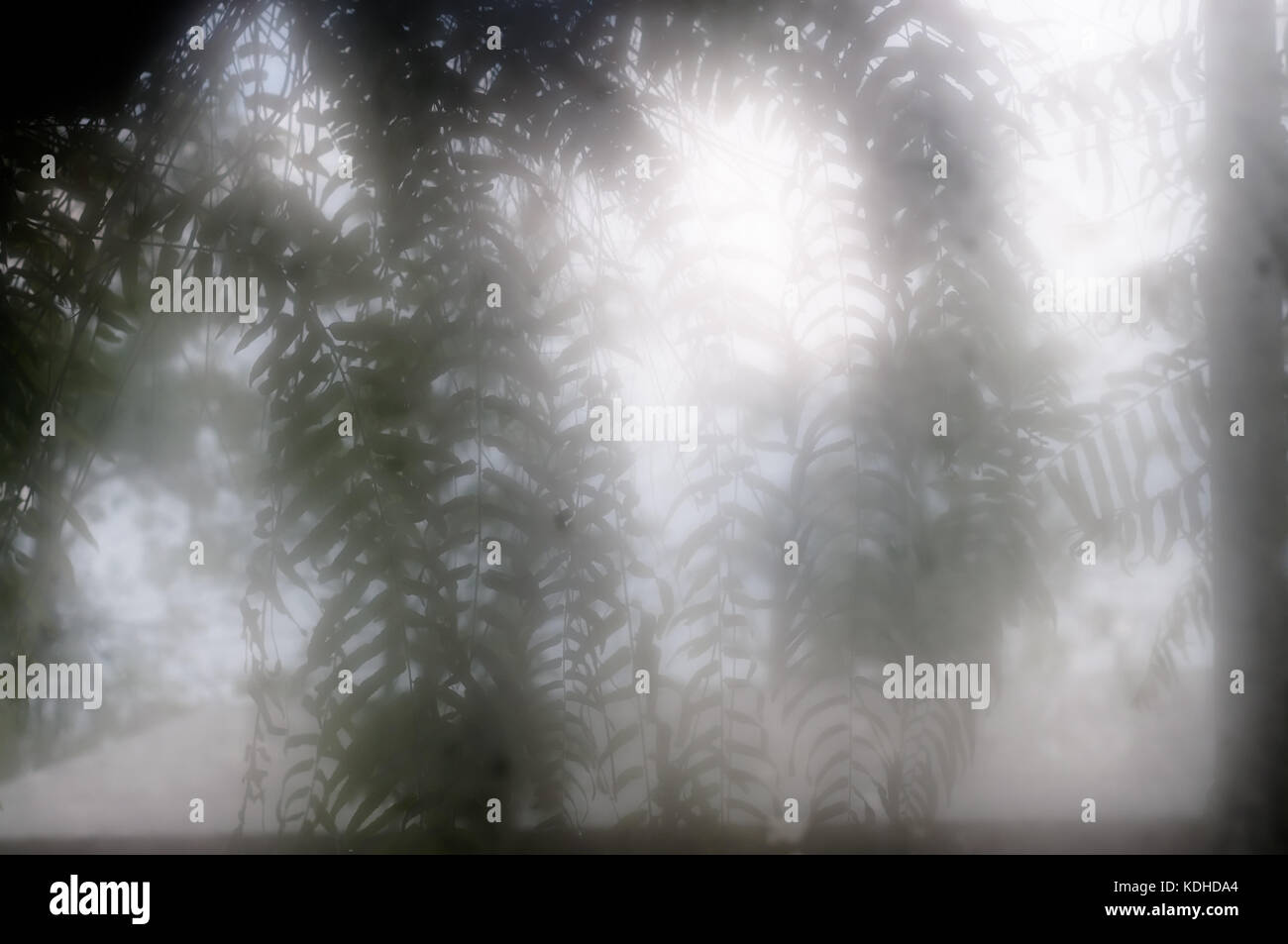 Burred windows hi-res stock photography and images - Alamy