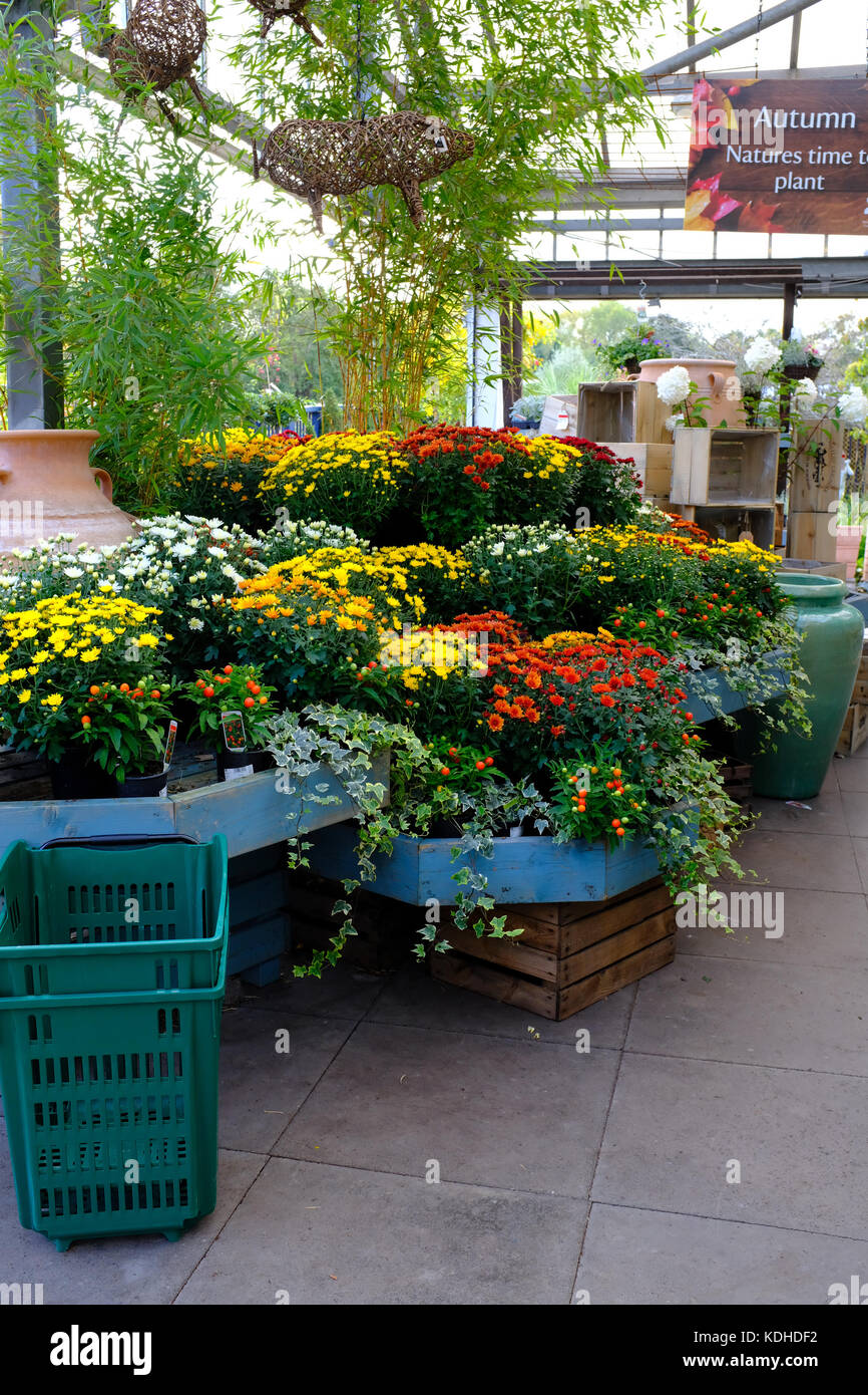 Morden Hall Garden Centre Stock Photo - Alamy
