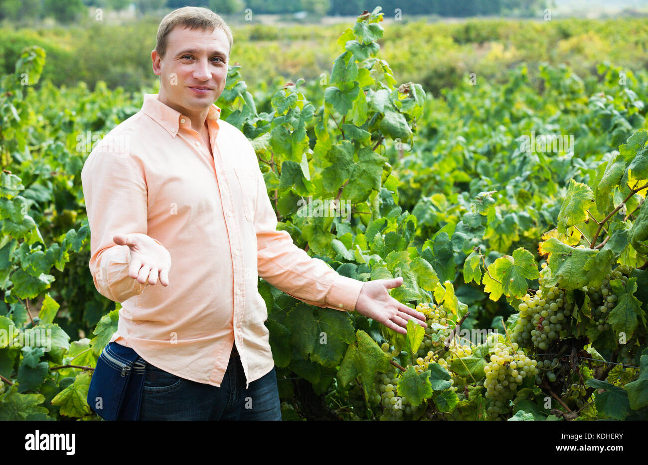 Satisfied young male vintner with clusters of grape smiling outdoors ...