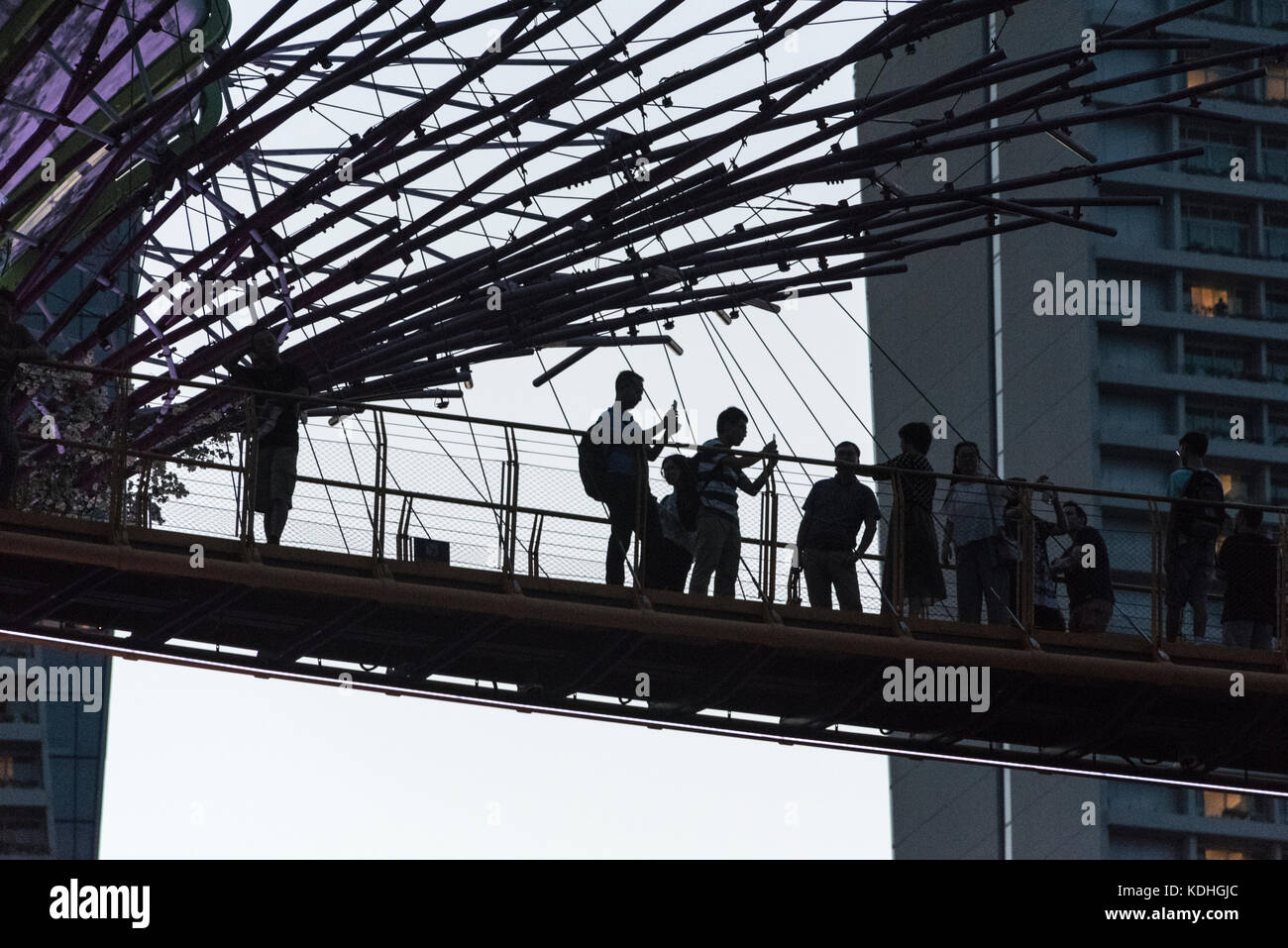 At dusk, a group of visitors meandering 22 metres above ground along ...
