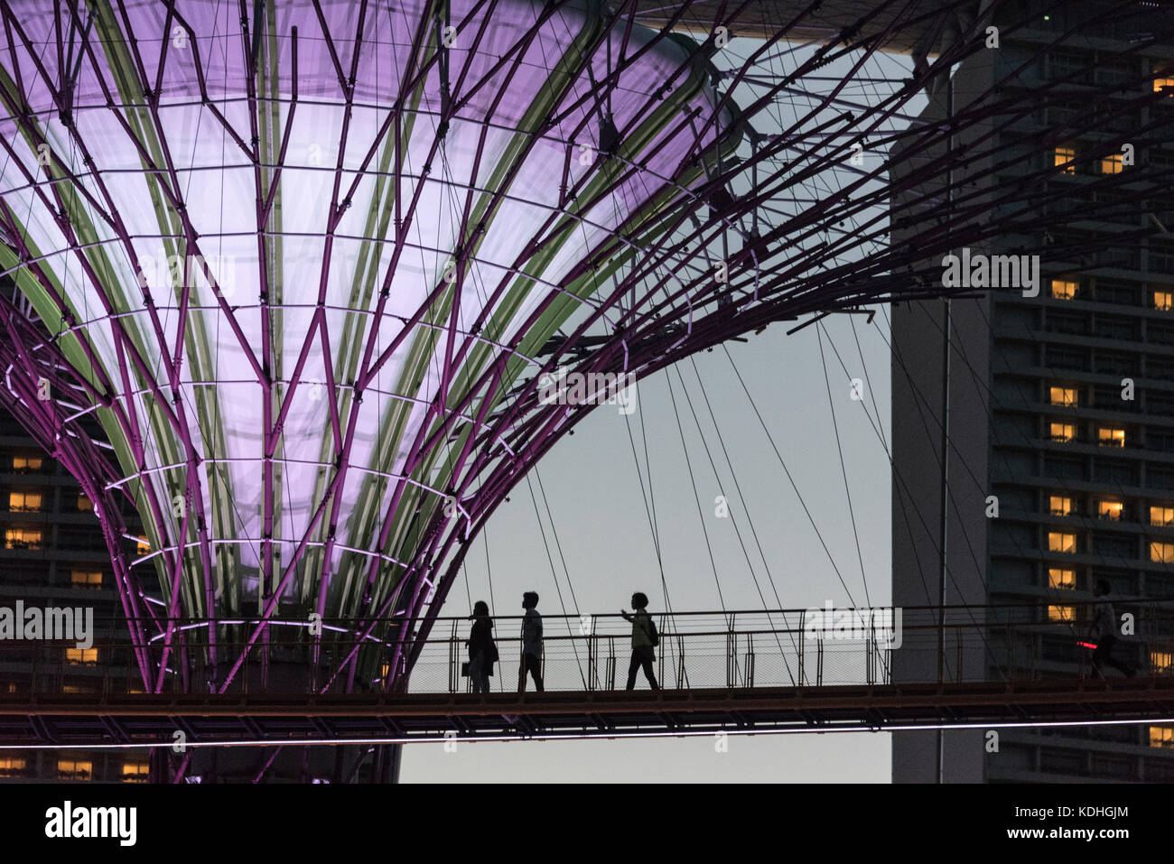 At dusk, a group of visitors meandering 22 metres above ground along ...