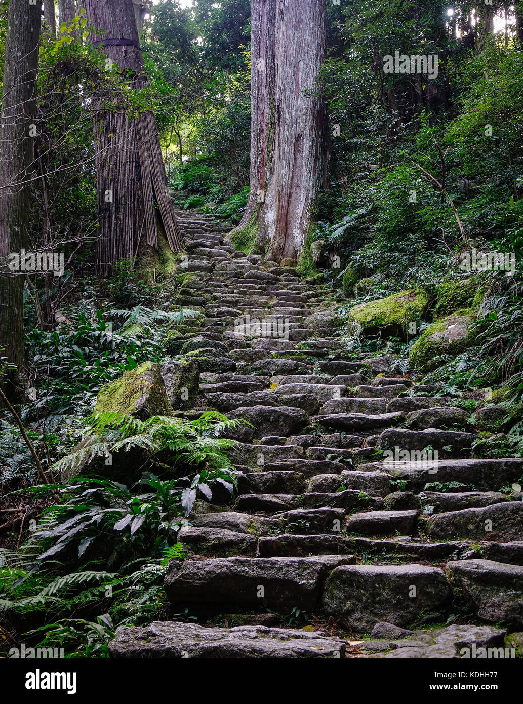 Stone path of Kumano Kodo pilgrimage routes in Kansai, Japan Stock ...