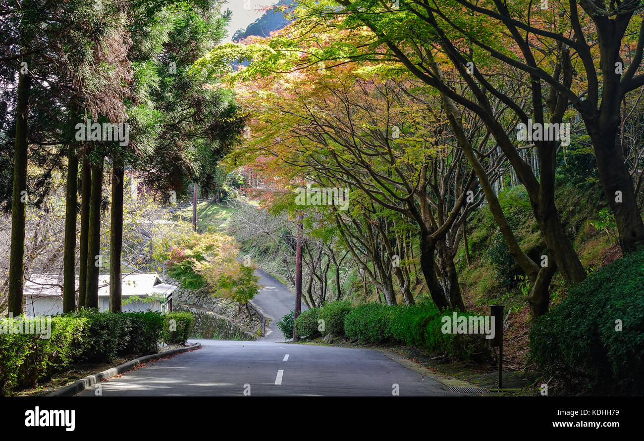 Autumn road of Kumano Kodo pilgrimage routes in Kansai, Japan Stock ...
